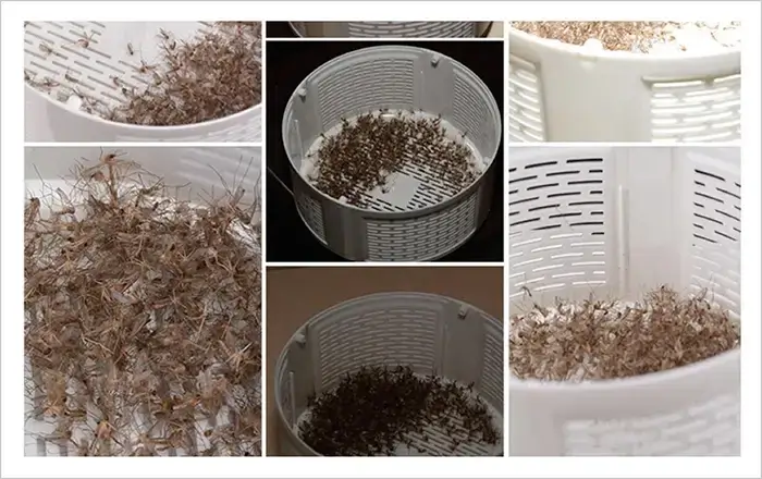 ZapTek Mosquito Zapper - Eliminate Mosquitoes in Minutes